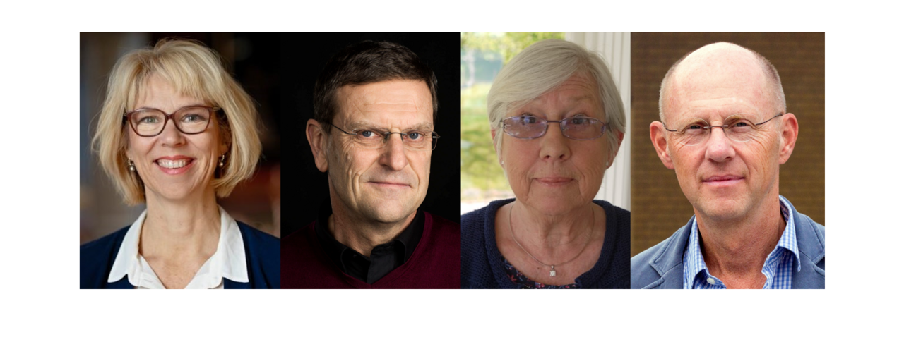 IPCHS - Integrated People-Centred Health Services Events :: GPCC Person ...